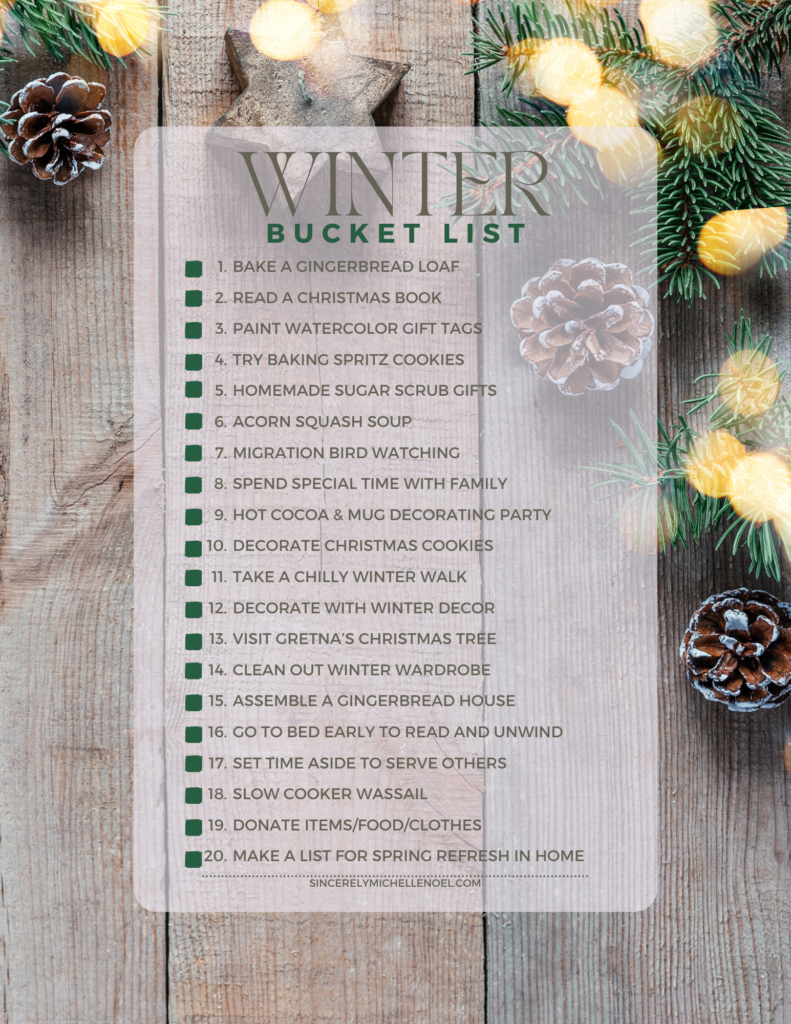Winter Bucket List 2023 - Sincerely, Michelle Noël
